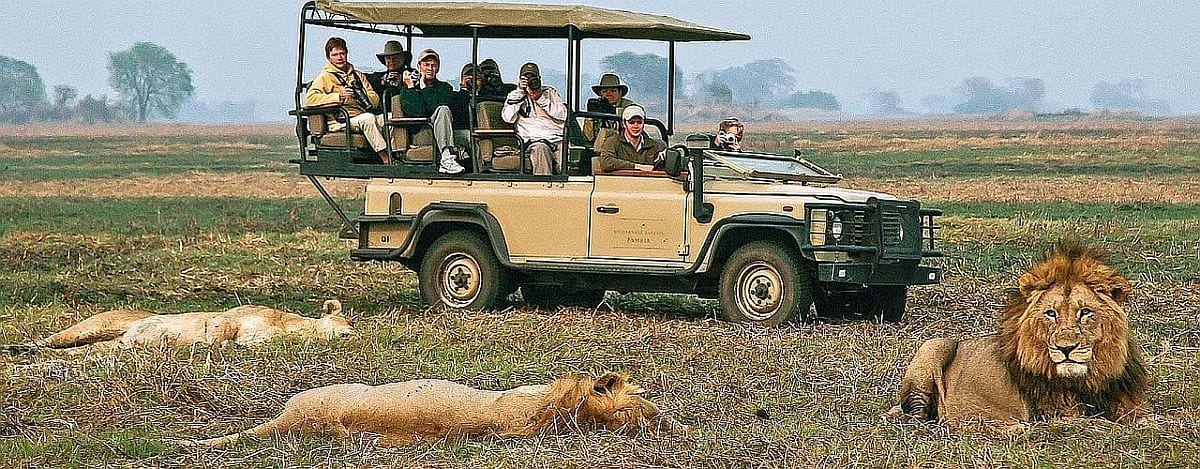 8 Tips to get the Most from your Game Drive - Cedarberg-Travel.com